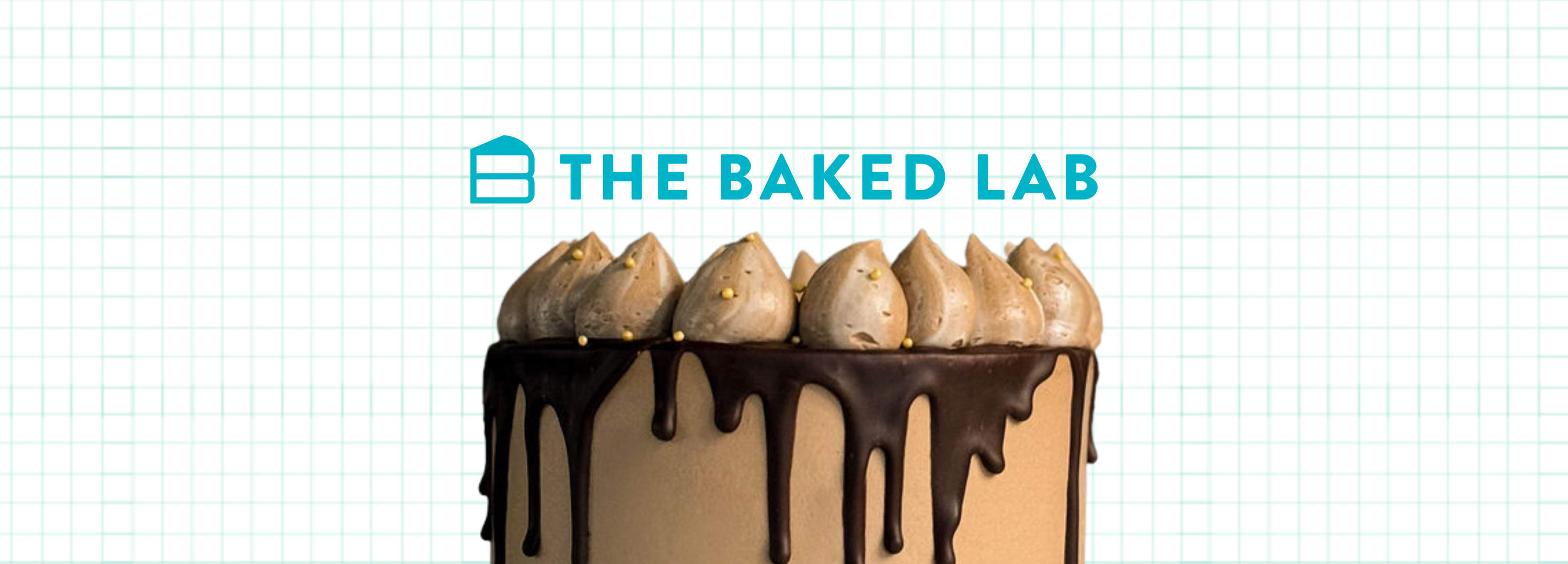 The Baked Lab