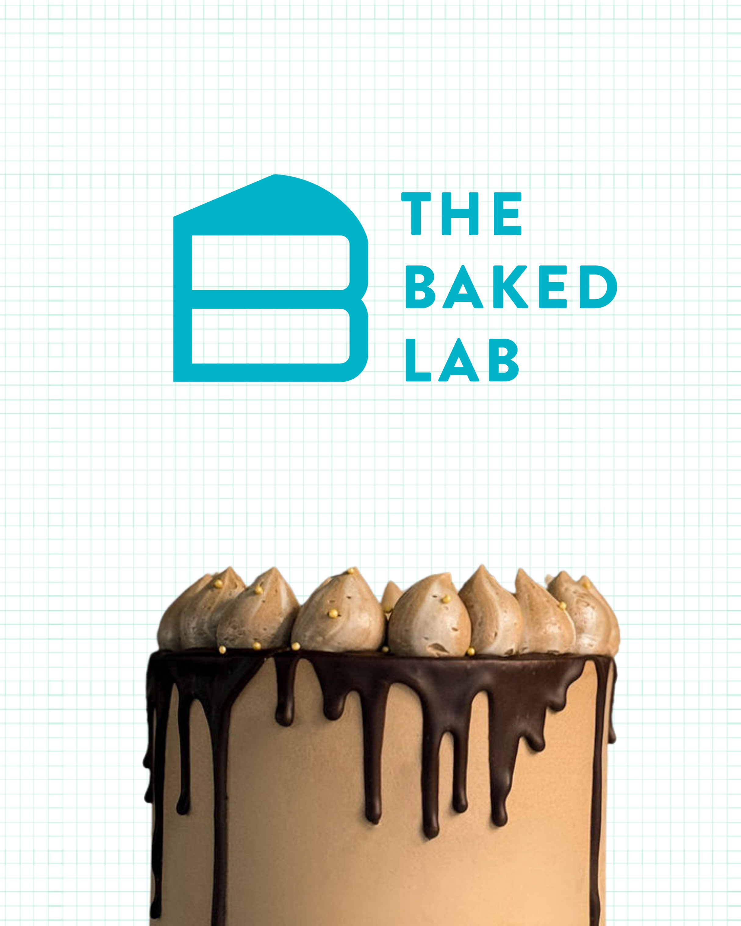 The Baked Lab
